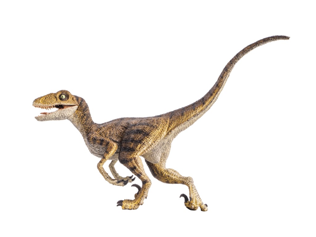 Test Your Knowledge: The Velociraptor Quiz - Daily Animal Trivia