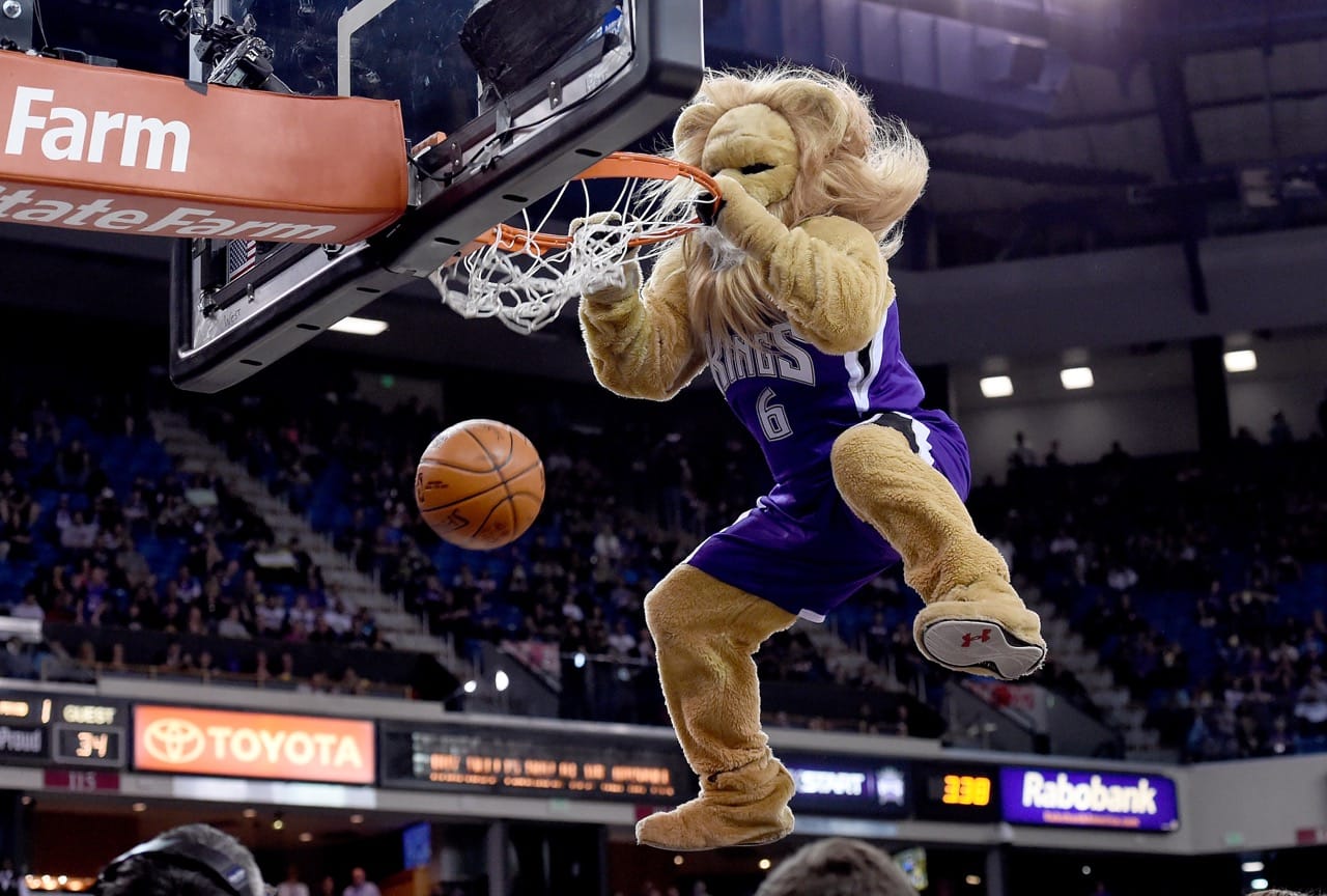 Lions, & Tigers, & Jaguars, Oh My! Professional Sports Teams with ...